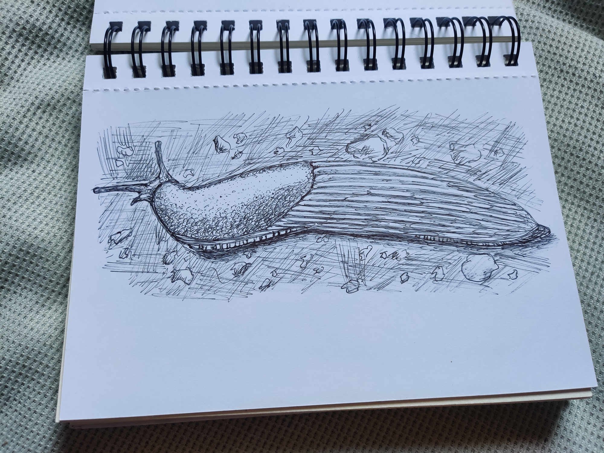 Slug Ballpoint Pen Sketch – Kat Root, Art with Aphantasia